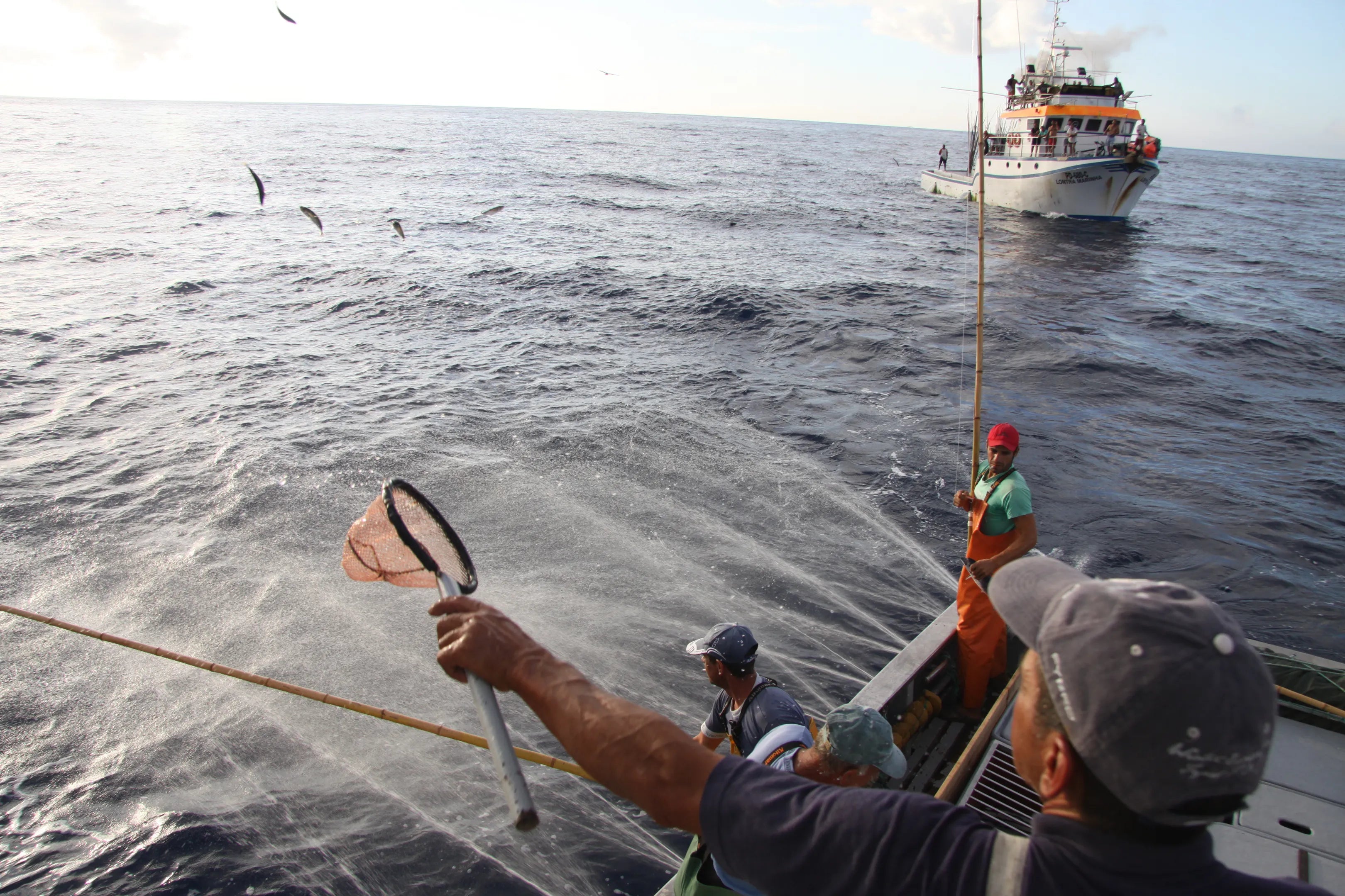 Fish4ever – Aventure bio